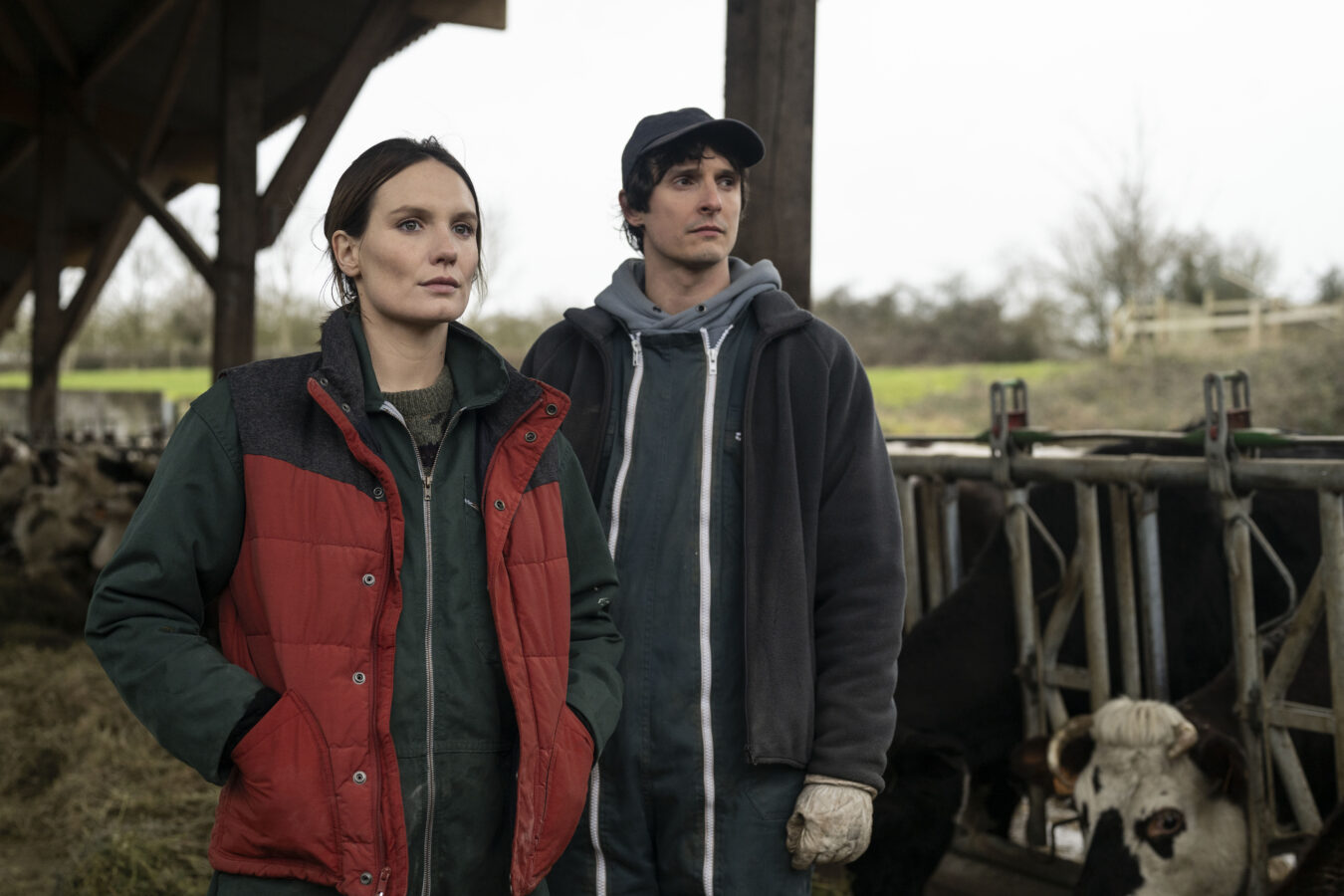 La Guerre des Prix | Film Diaphana Distribution